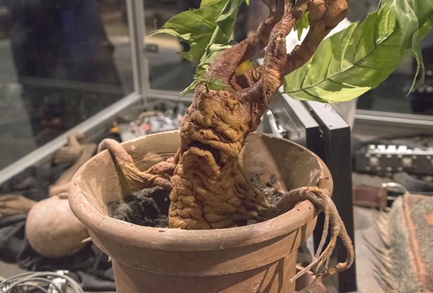 Peluche Interactive - Mandragore en Pot collector - Au Comptoir des ...